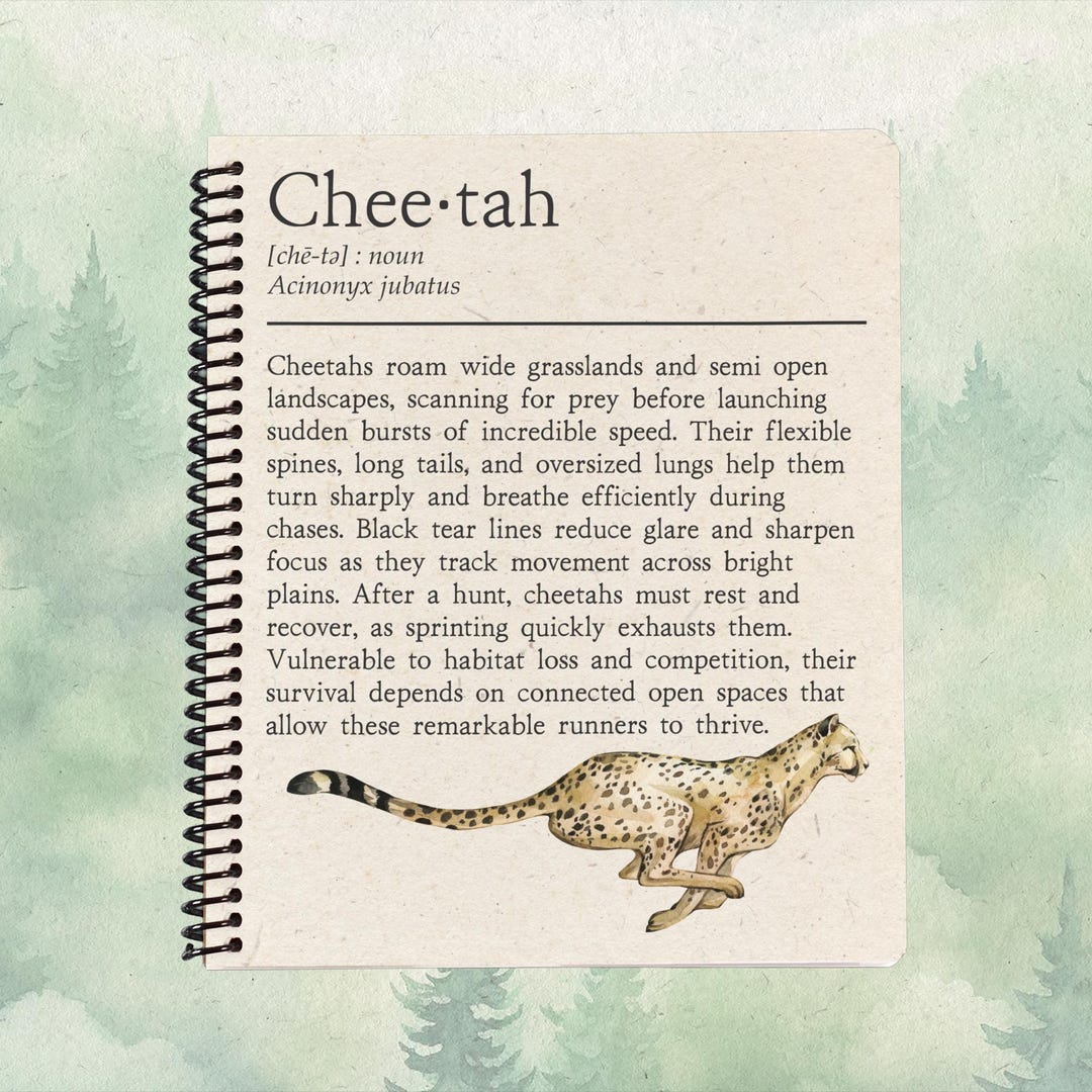 Cheetah Journal, Cute Animal Lover Gift, Softcover Handmade Spiral ...