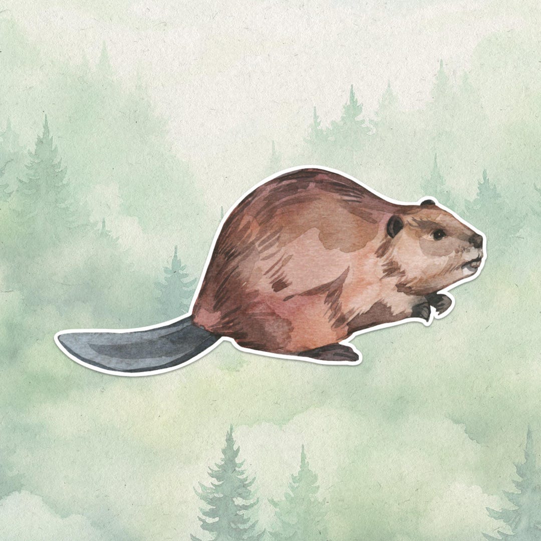 Waterproof Vinyl Beaver Sticker, Cute Animal Lover Gift, Great Decal ...