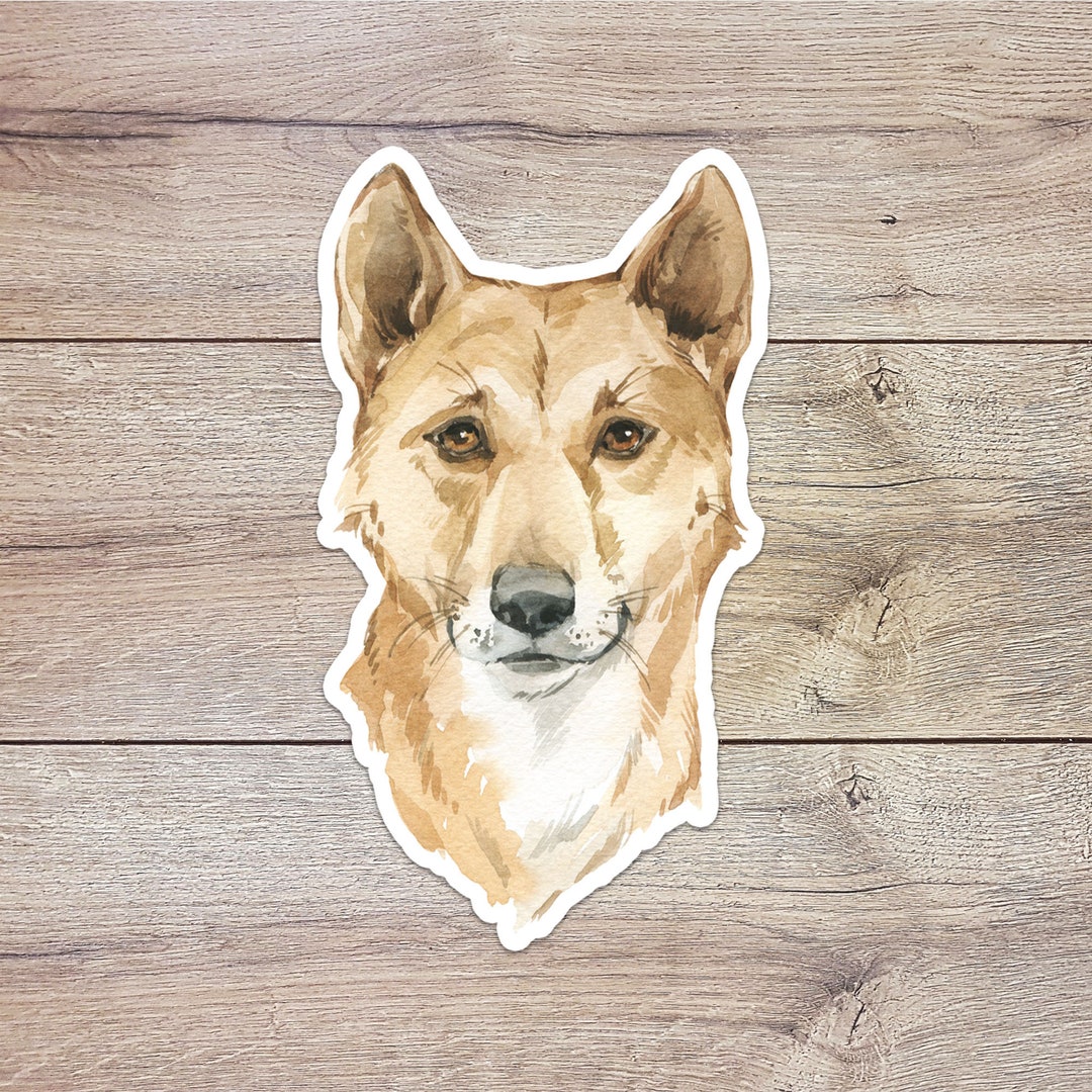 Dingo Sticker Waterproof Vinyl Decal Watercolor Dingo Art - Etsy
