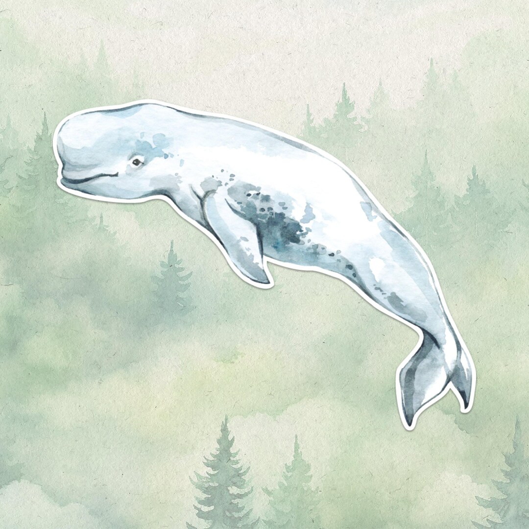 Waterproof Vinyl Beluga Whale Sticker, Cute Animal Lover Gift, Great ...