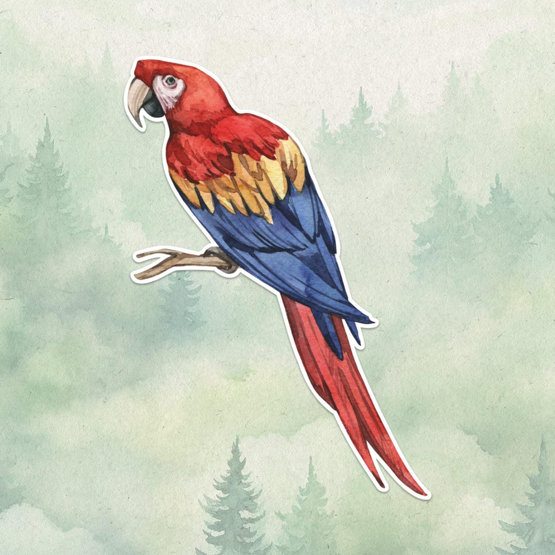 Waterproof Vinyl Macaw Sticker, Cute Bird Lover Gift, Great Decal for ...
