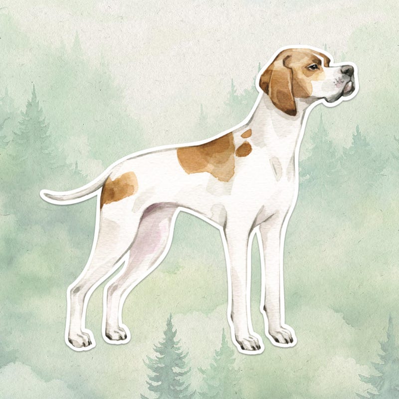 English Pointer Art - Etsy