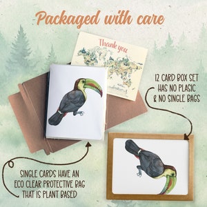 Toucan Card. Personalized Handmade Greeting Card. Bird Card and Sticker ...