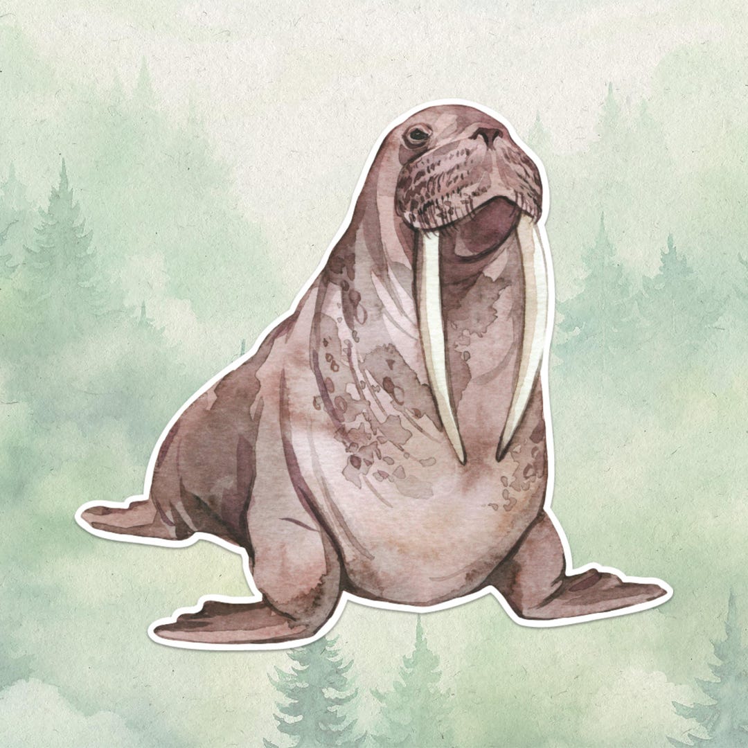 Waterproof Vinyl Walrus Sticker, Cute Animal Lover Gift, Great Decal ...