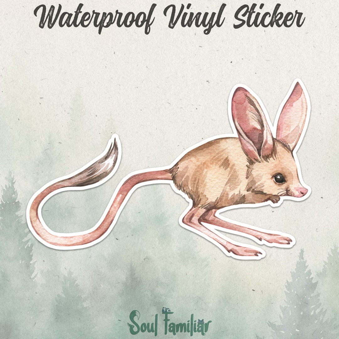Jerboa Sticker Waterproof Vinyl Decal Watercolor - Etsy