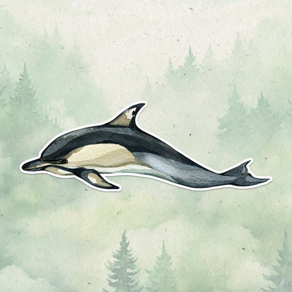 Dolphin Sticker - Etsy