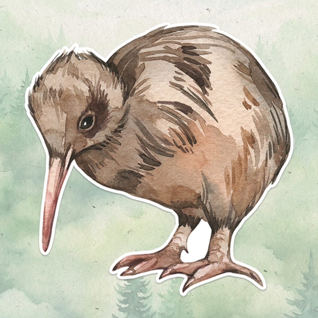 Kiwi Sticker, Waterproof Vinyl Decal, Bird Sticker - Etsy