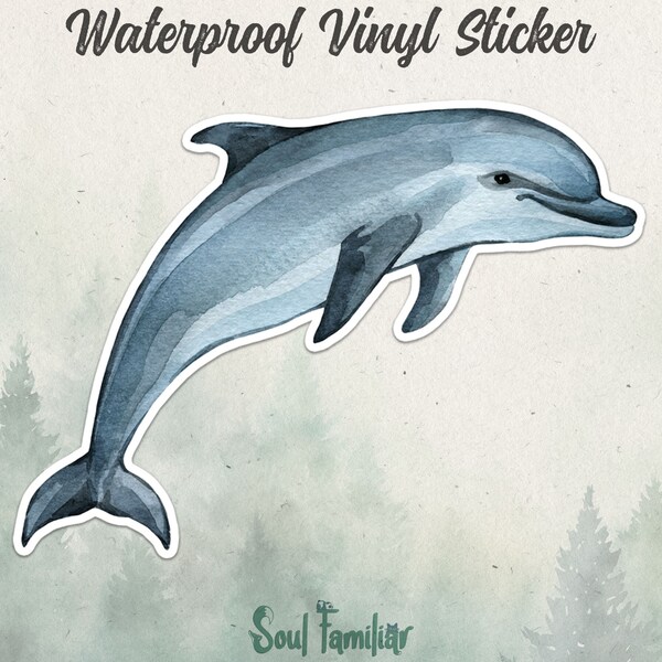Dolphin Sticker - Etsy