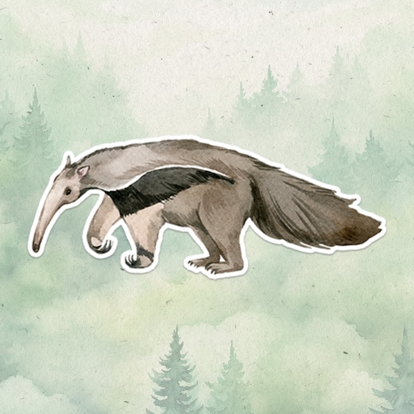 Anteater - Etsy