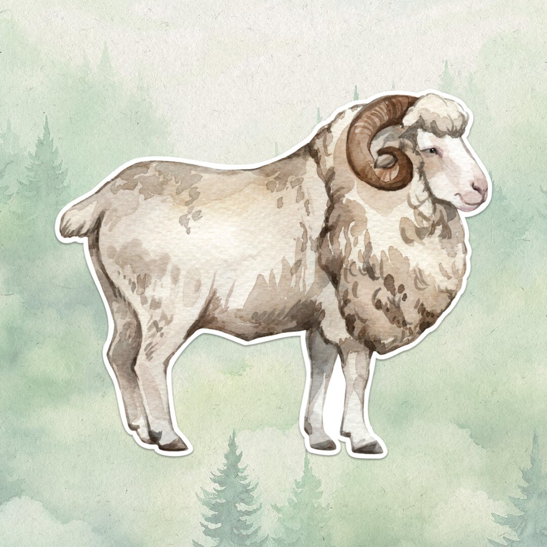 Waterproof Vinyl Bighorn Ram Sticker, Cute Sheep Lover Gift, Great ...