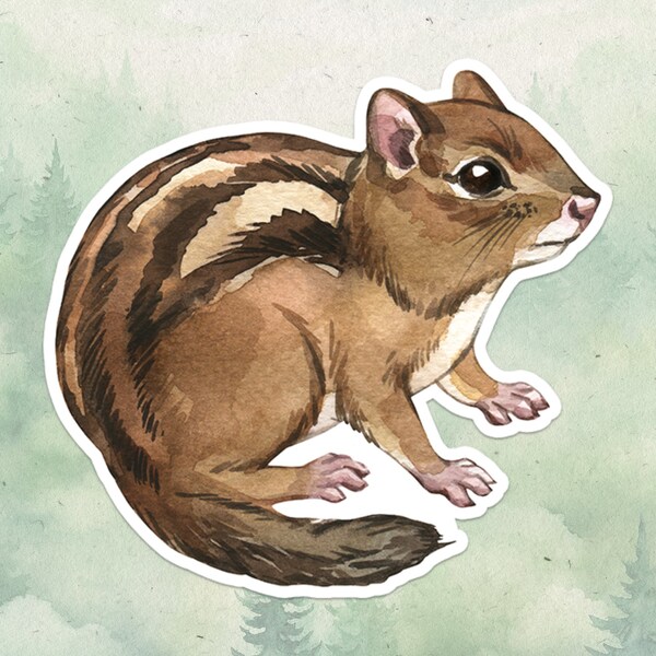 Chipmunk Stickers - Etsy Canada