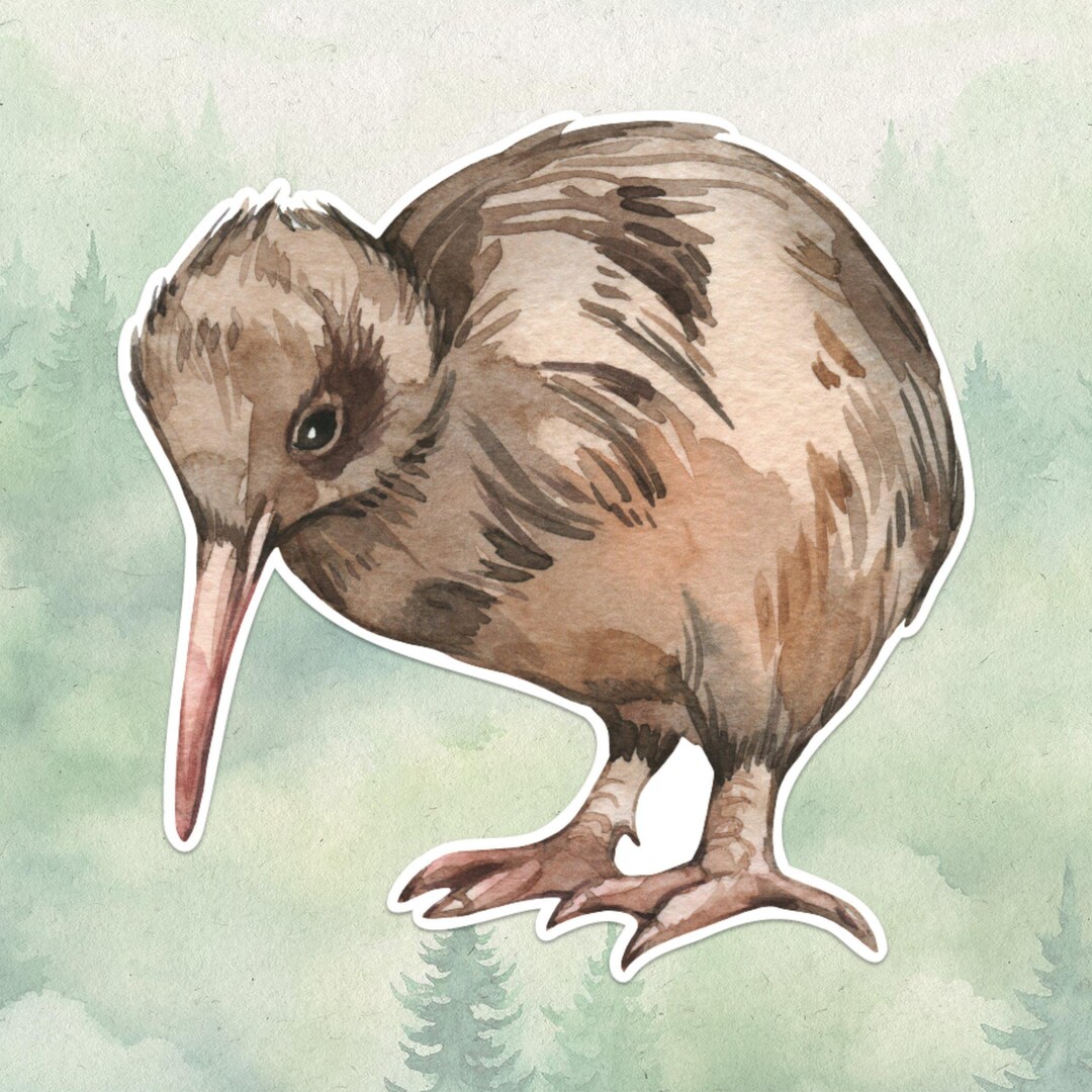 Waterproof Vinyl Kiwi Sticker, Cute Bird Lover Gift, Great Decal for ...