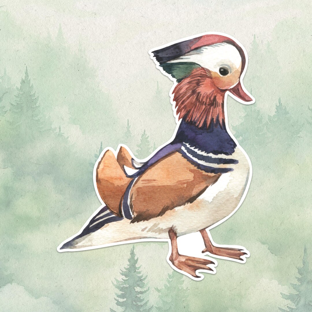 Waterproof Vinyl Mandarin Duck Sticker, Cute Animal Lover Gift, Great ...