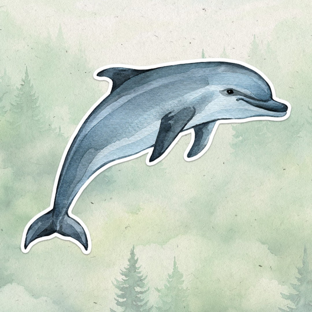 Dolphin Sticker, Waterproof Vinyl Decal, Animal Lover Gifts - Etsy