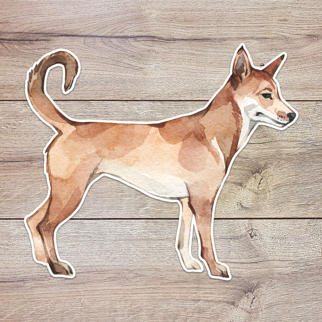 Dingo Sticker Waterproof Vinyl Decal Watercolor - Etsy