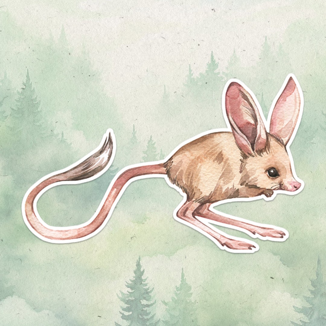 Jerboa Sticker, Waterproof Vinyl Decal, Animal Lover Gifts - Etsy