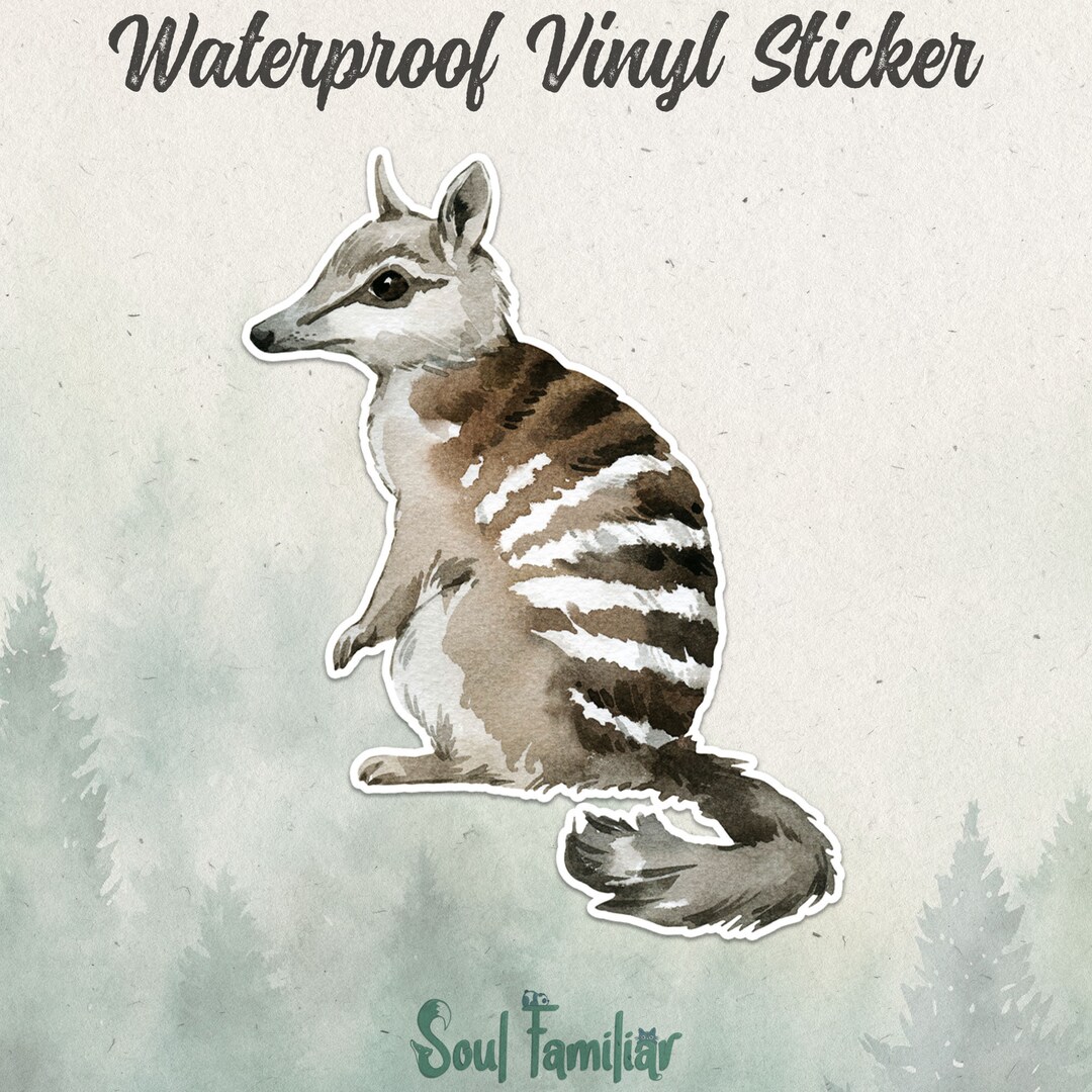 Numbat Sticker Waterproof Vinyl Decal Watercolor - Etsy