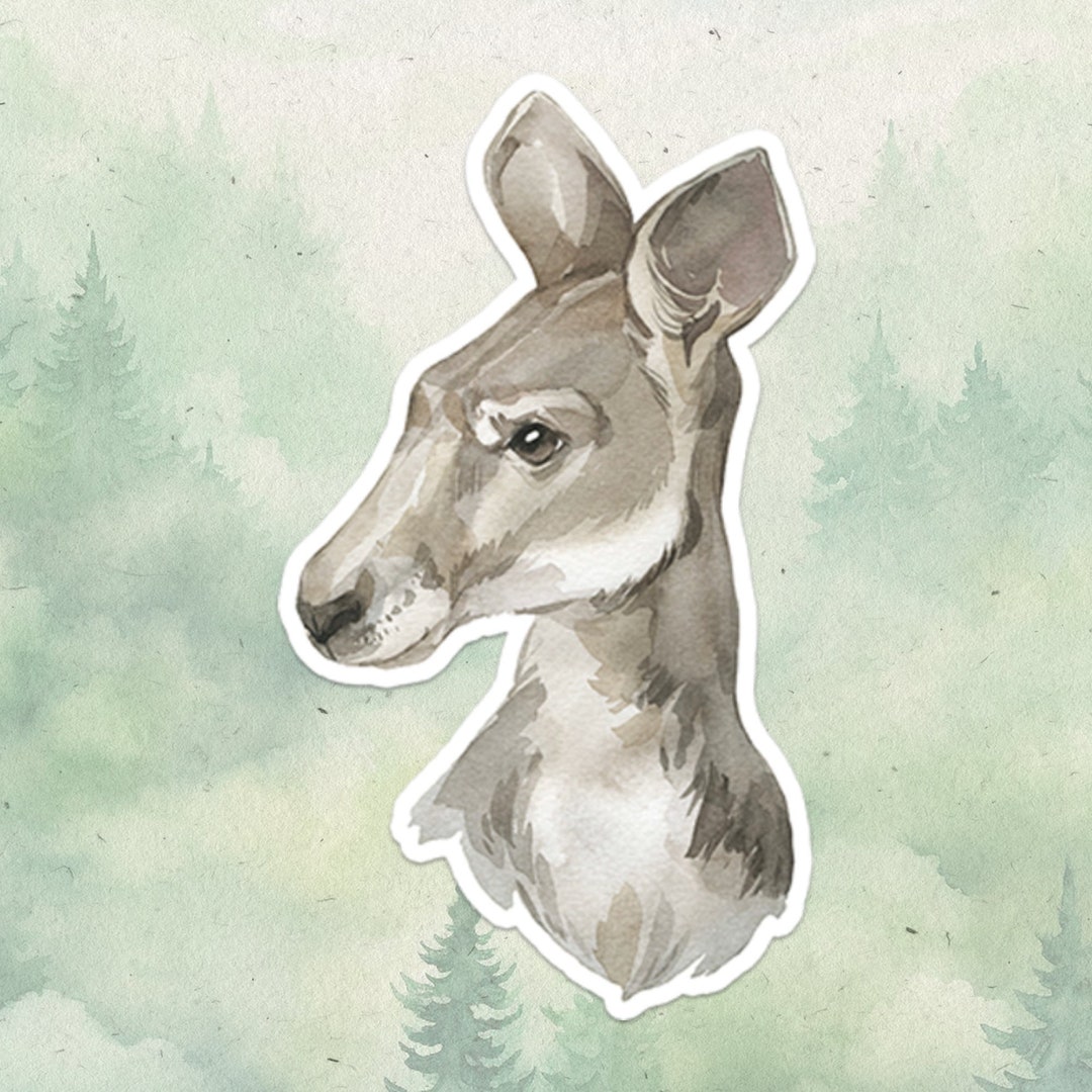 Kangaroo Sticker, Waterproof Vinyl Decal, Animal Lover Gifts - Etsy
