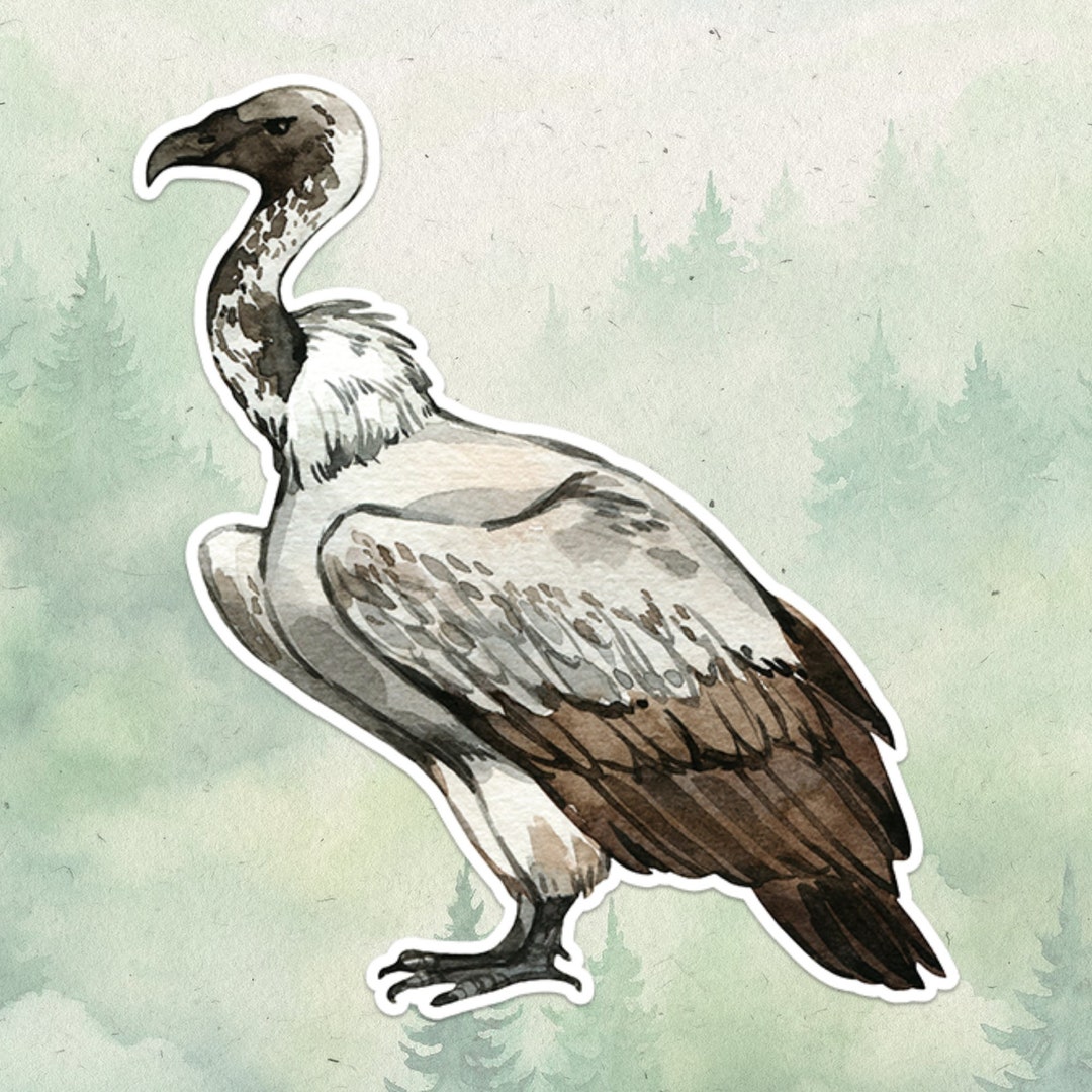 Vulture Sticker, Waterproof Vinyl Decal, Bird Sticker - Etsy