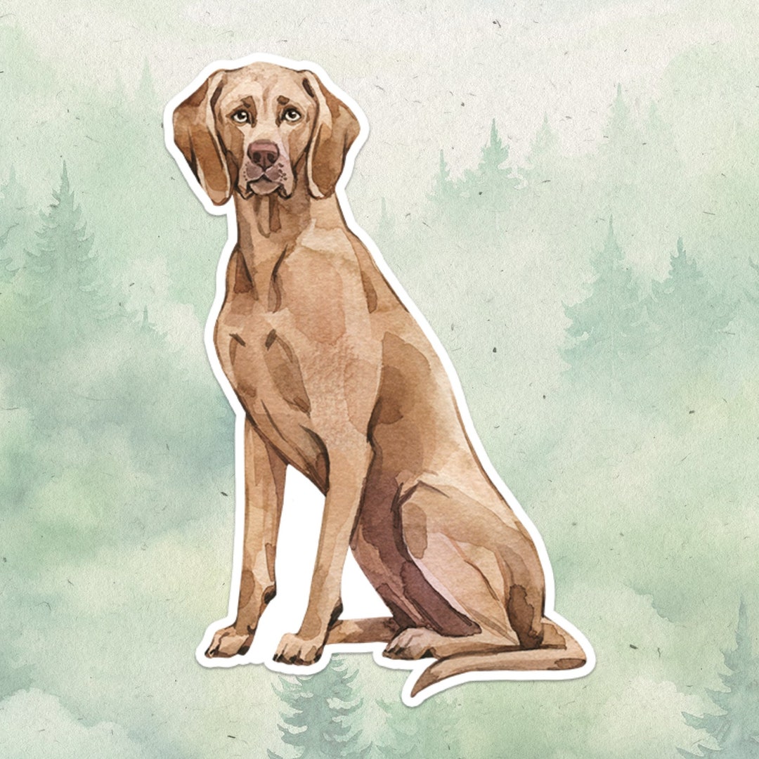Vizsla Sticker, Waterproof Vinyl Decal, Dog Sticker - Etsy