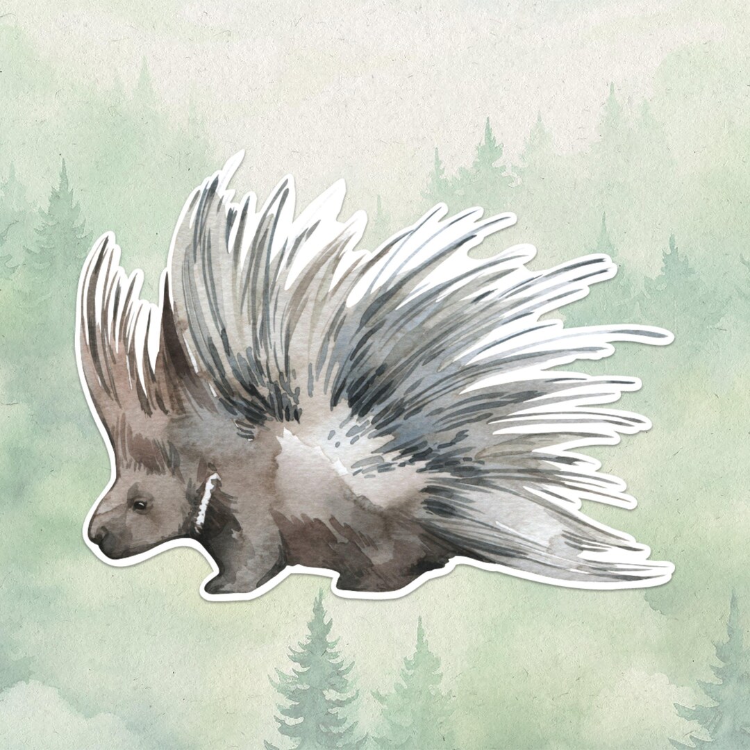 Waterproof Vinyl Porcupine Sticker, Cute Animal Lover Gift, Great Decal ...
