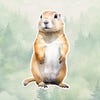 Prairie Dog Stickers Vinyl Decals Waterproof Wildlife Stationery Gift ...