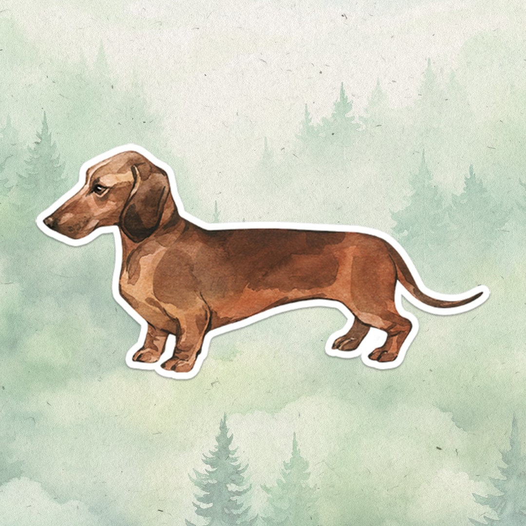 Dachshund Sticker, Waterproof Vinyl Decal, Dog Sticker - Etsy