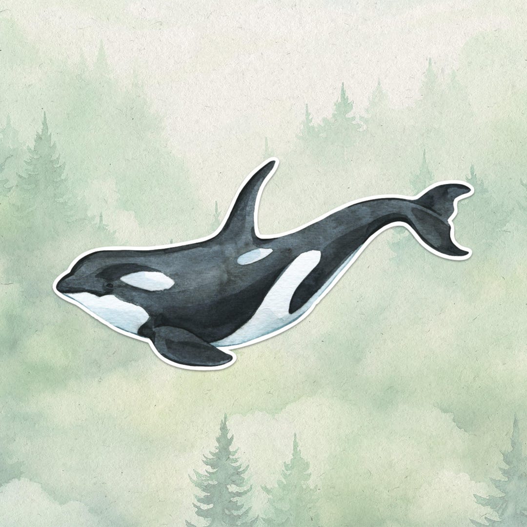 Waterproof Vinyl Orca Sticker, Cute Animal Lover Gift, Great Decal for ...
