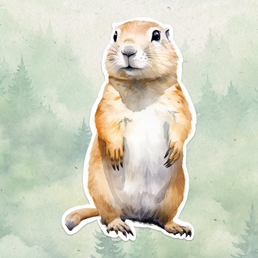 Prairie Dog Sticker, Waterproof Vinyl Decal, Animal Lover Gifts - Etsy