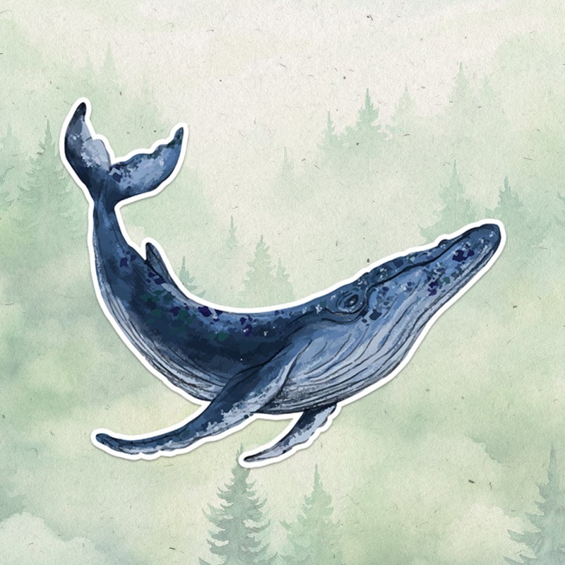Whale Sticker - Etsy