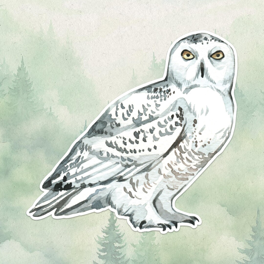 Waterproof Vinyl Snowy Owl Sticker, Cute Animal Lover Gift, Great Decal ...