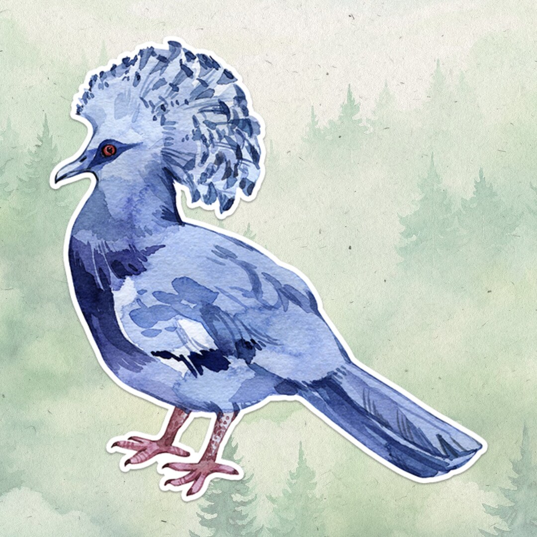 Pigeon Sticker, Waterproof Vinyl Decal, Bird Sticker - Etsy