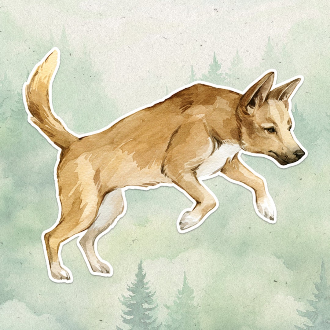 Dingo Sticker, Waterproof Vinyl Decal, Animal Lover Gifts - Etsy