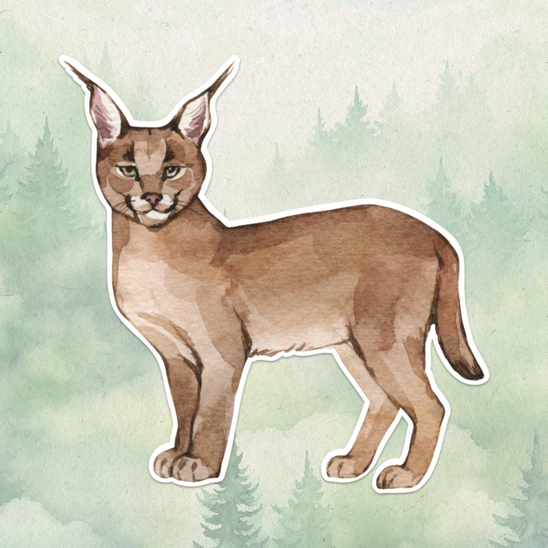 Waterproof Vinyl Caracal Sticker, Cute Animal Lover Gift, Great Decal ...