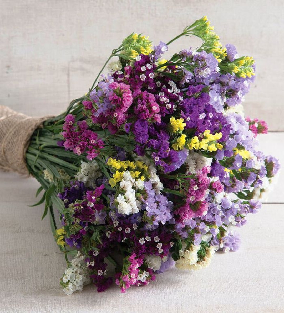 50 Seeds of statice Sinuata Double Flowers Ideal Bouquets Dried Flowers ...