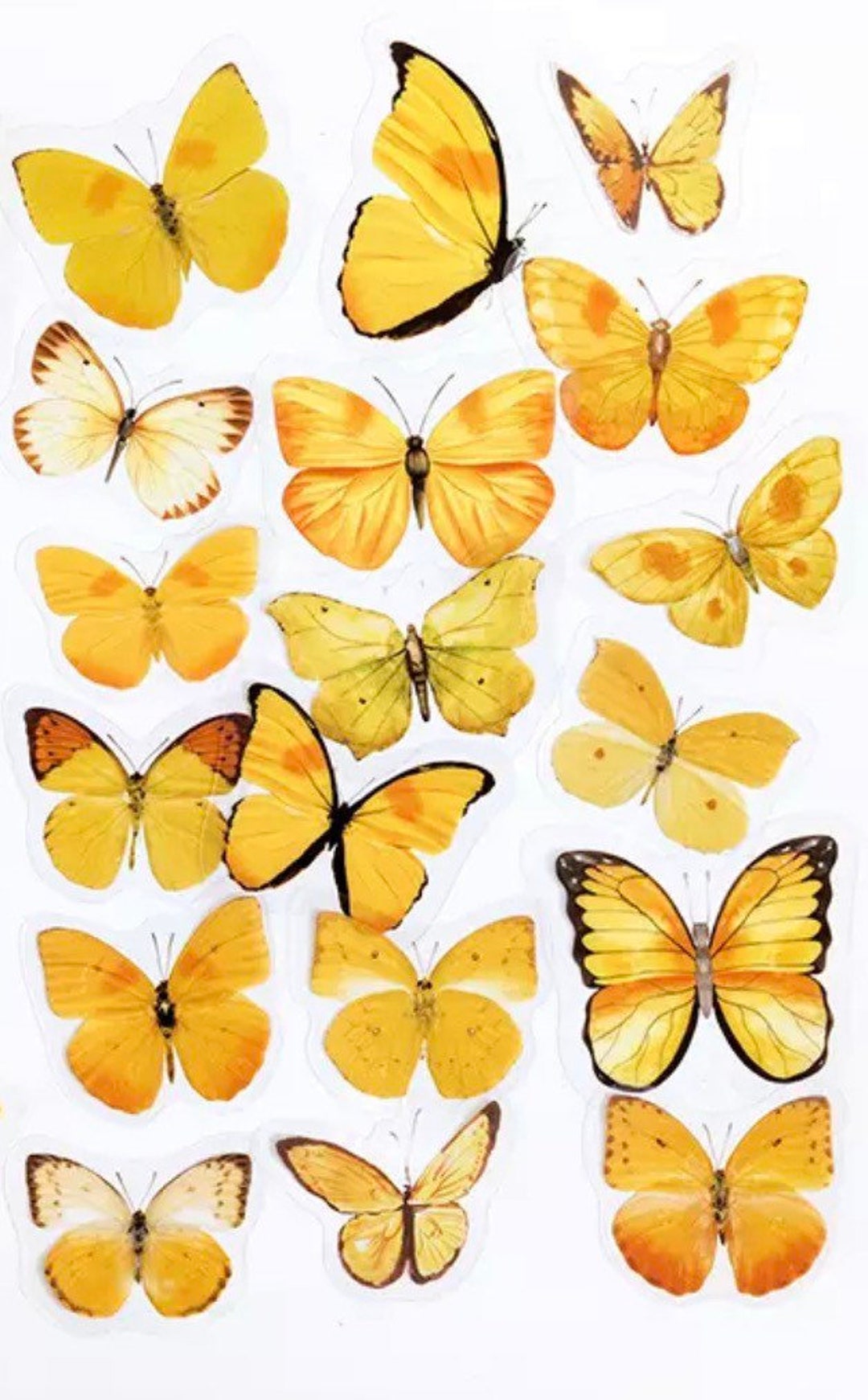 Yellow Butterfly Sticker Set, Watercolour Insect Stickers, Butterflies ...