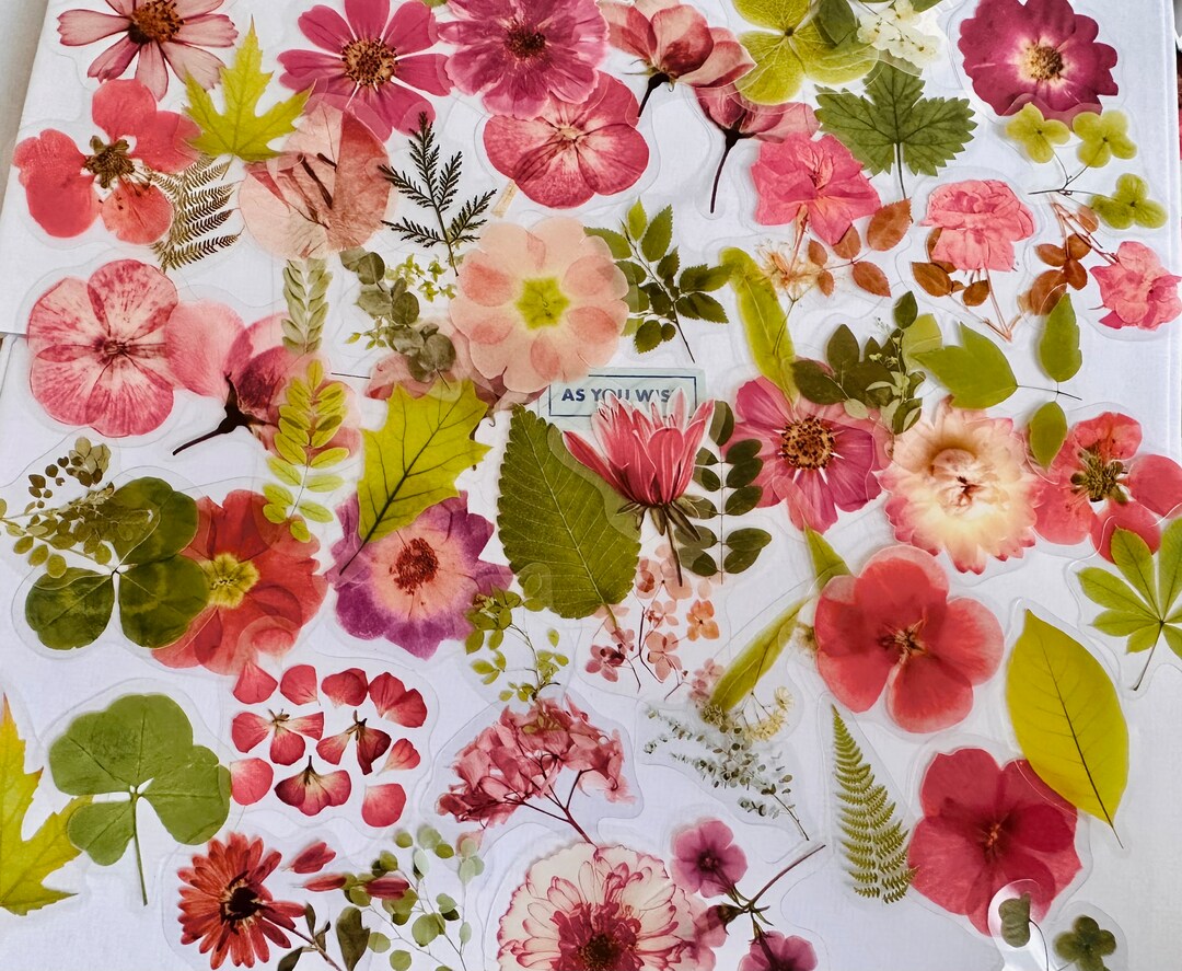 Dried Flowers Sticker Set, Wild Flower Bouquet Stickers, Wildflowers ...