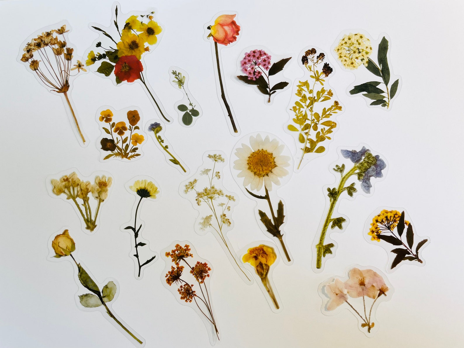 Yellow Flowers Sticker Set, Wild Flower Bouquet Stickers, Wildflowers ...