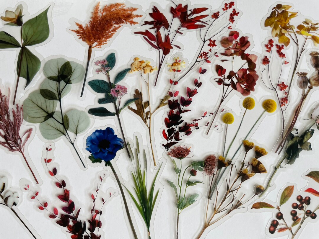 Dried Flowers Sticker Set, Wild Flower Bouquet Stickers, Wildflowers ...