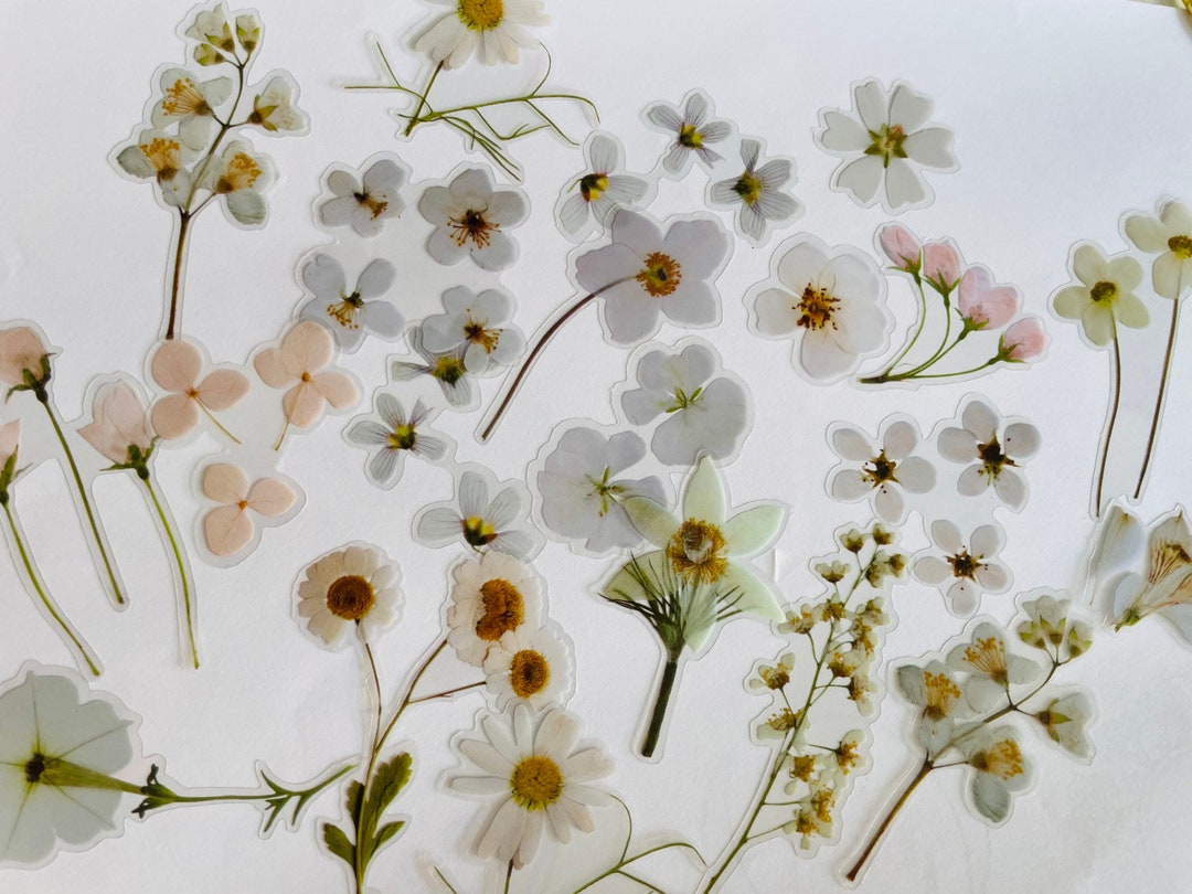 10 White Flowers Sticker Set, Lily Stickers, Rise, Daisy Stickers ...