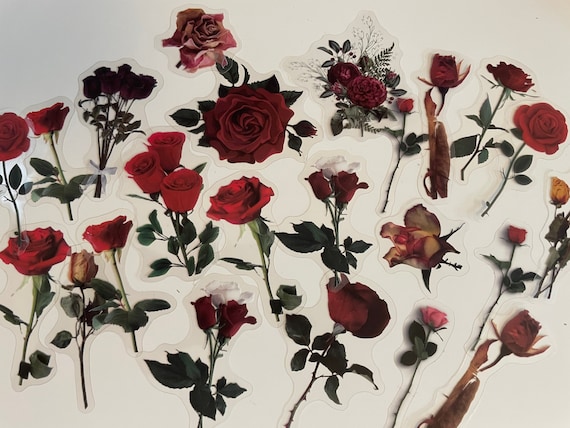 Dark Red Rose Pink Flowers Sticker Set Rose Stickers Wild - Etsy