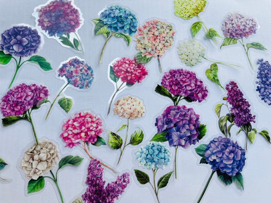 Set of Hydrangea Floral Stickers Flower Plants Craft Stickers, Bullet ...