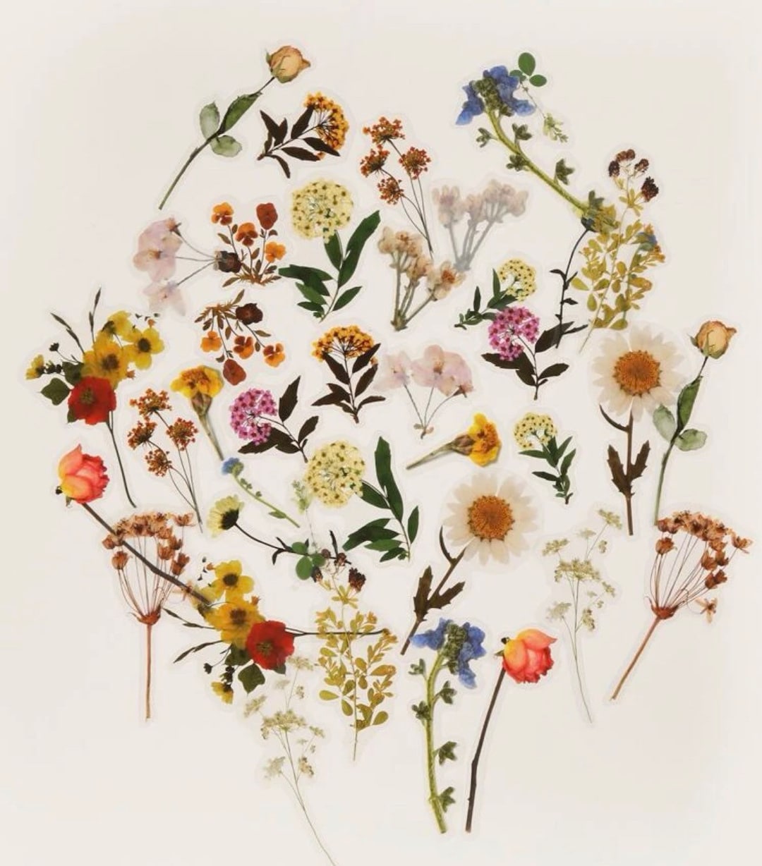 Yellow Vinyl Flowers Sticker Set, Wild Flower Bouquet Stickers ...