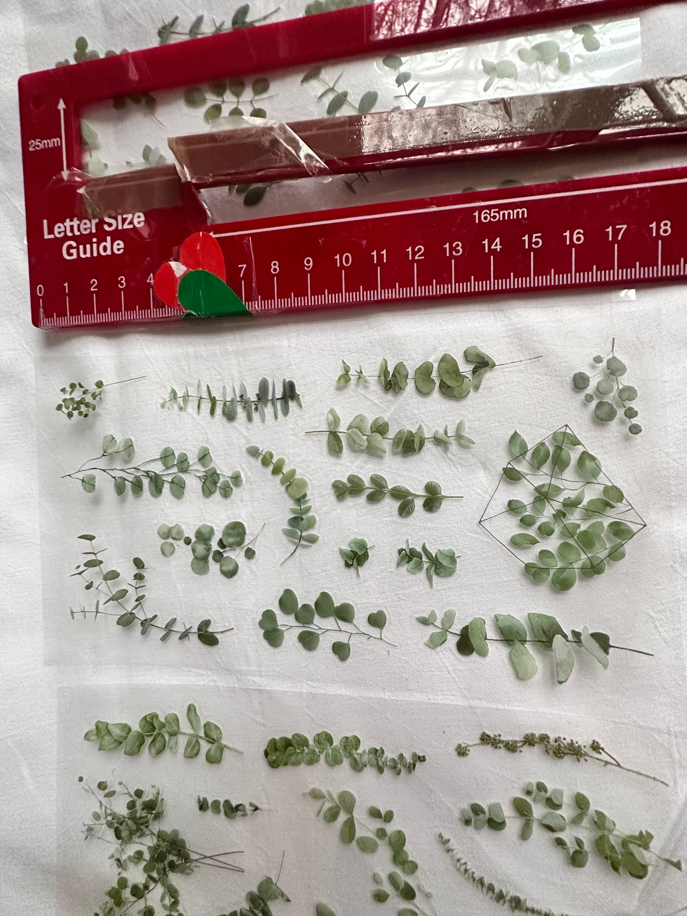 One Sheet Eucalyptus Stickers, Plant Stickers, Eucalyptus Gift, Bullet ...