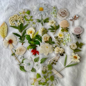 10 White Flowers Sticker Set, Lily Stickers, Rise, Daisy Stickers ...