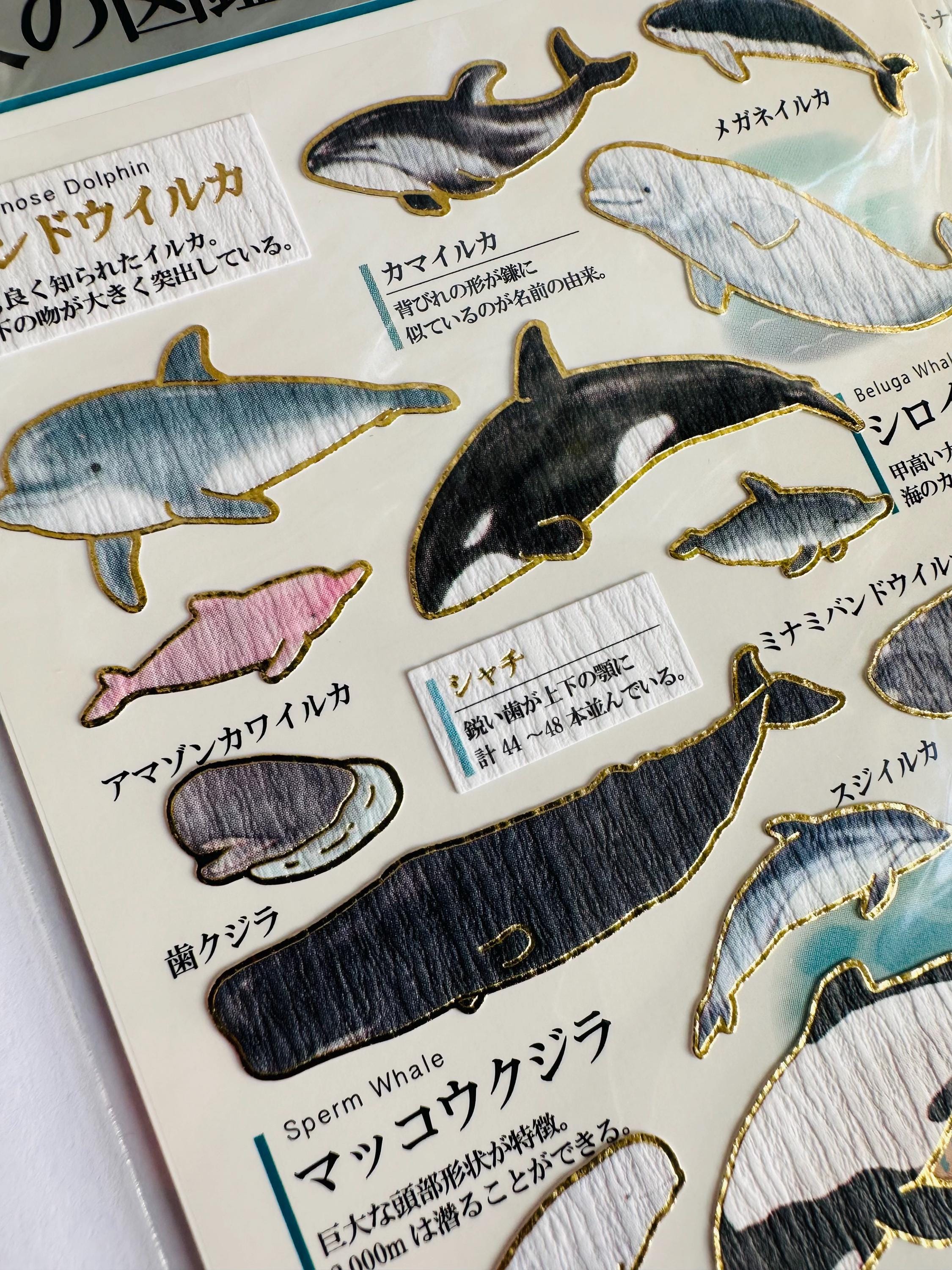 Set of Sealife Whale Stickers, Whale , Orca White Dolphin Fish Marine ...