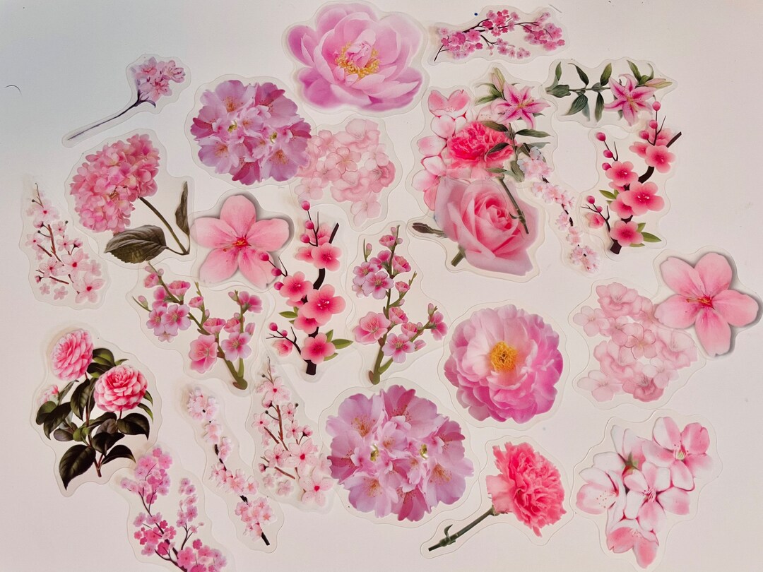Pink Blossom Flowers Sticker Set, Sakura Blossom Stickers, Lily, Peony ...