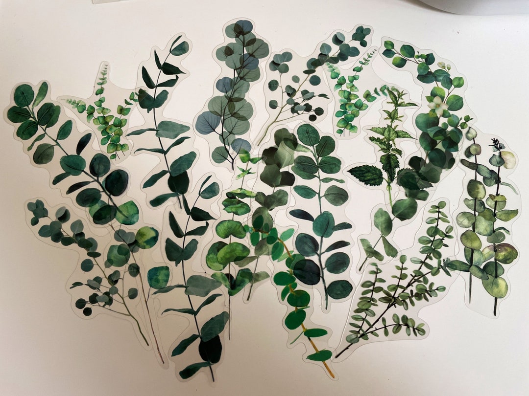 Set of Eucalyptus Stickers, Green Leaves, Orange Leaves, Plant Stickers ...