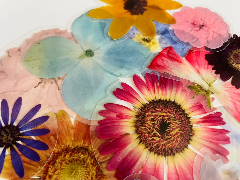 10 Pressed Flower Sticker Pack Waterproof Reusable Set - Etsy