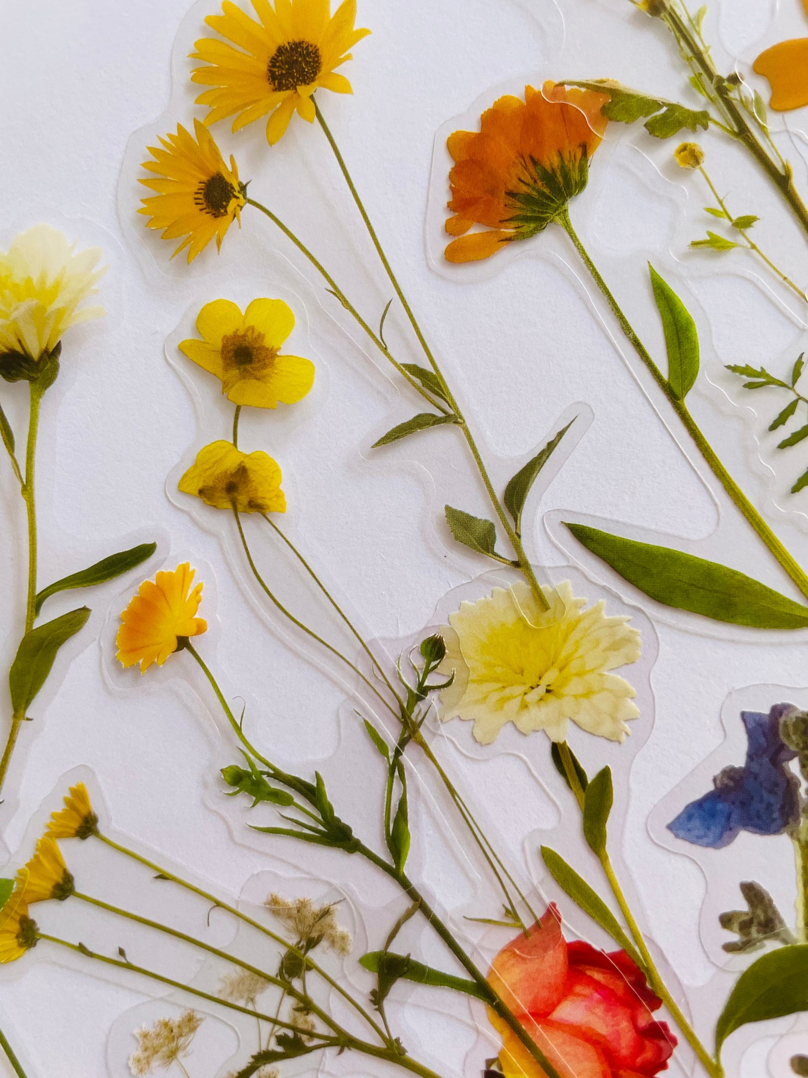 Yellow Flowers Sticker Set, Wild Flower Bouquet Stickers, Wildflowers ...